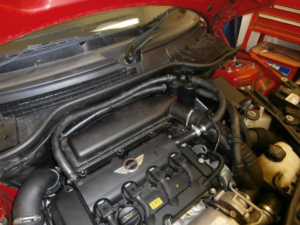 R56 Saikou Michi Twin OCC | MiniTorque.com