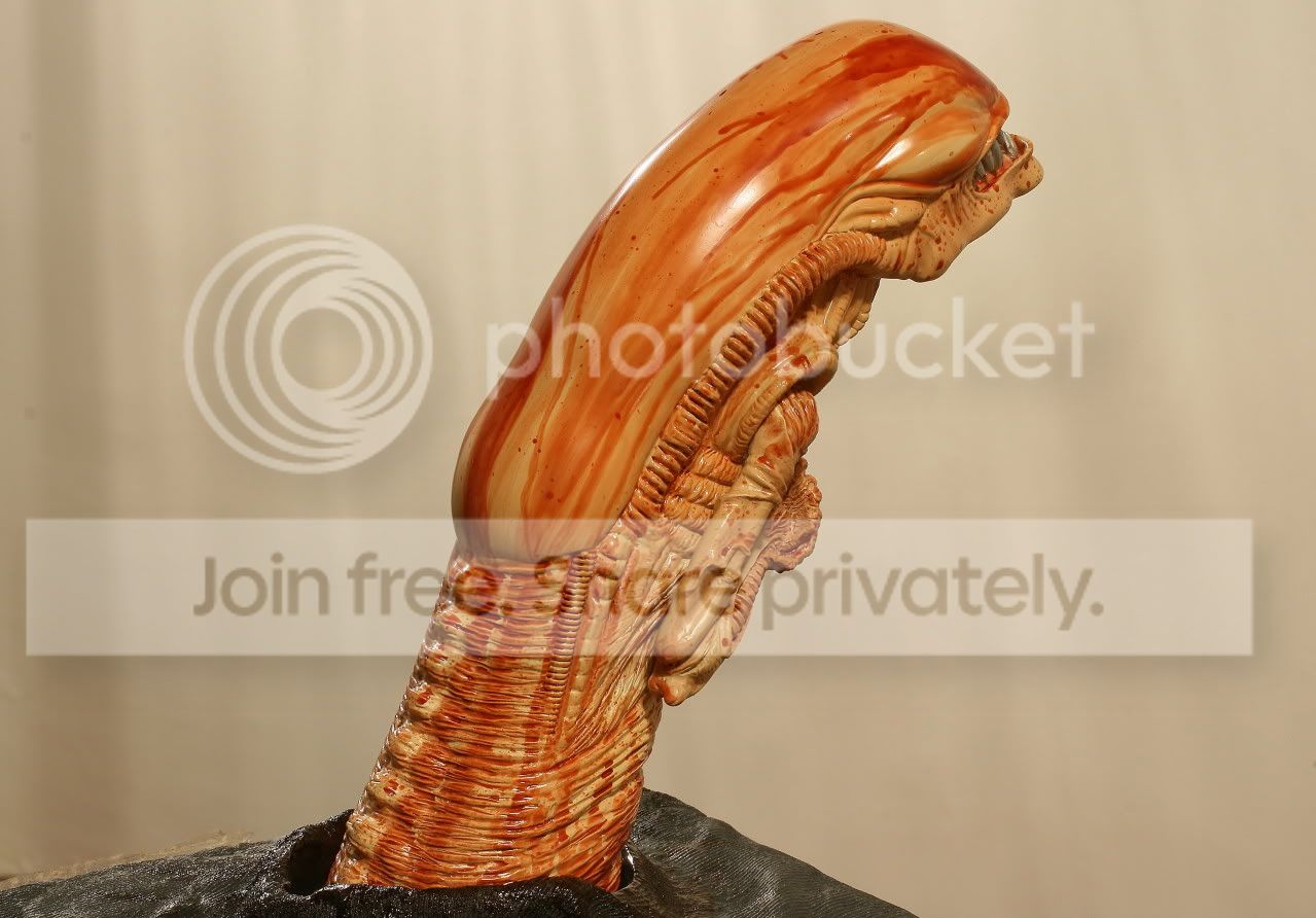 HCG - Alien Chestburster - Page 12 - Statue Forum