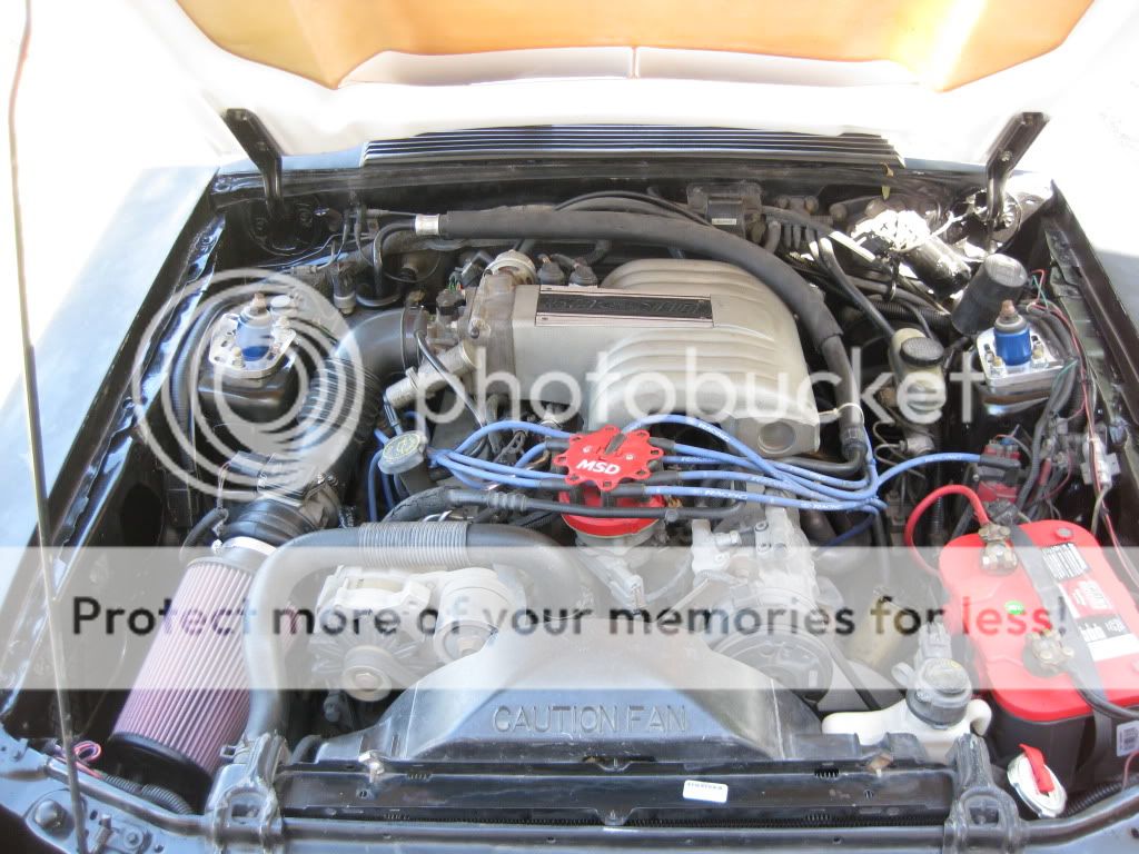 Installing Cai On 92 Gt | Modded Mustang Forums