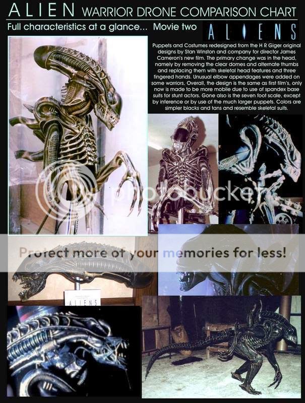 Xenomorph Warrior Vs Drone Hot Take: The Warriors From AVPR Are