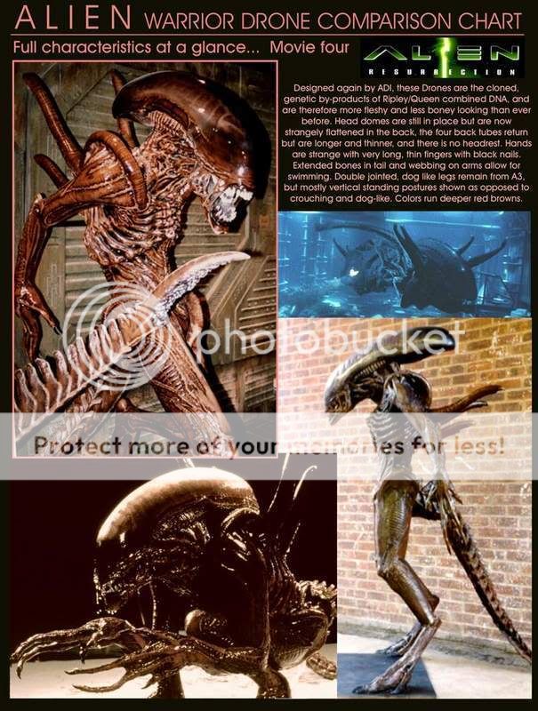 Xenomorph Warrior Vs Drone Hot Take: The Warriors From AVPR Are
